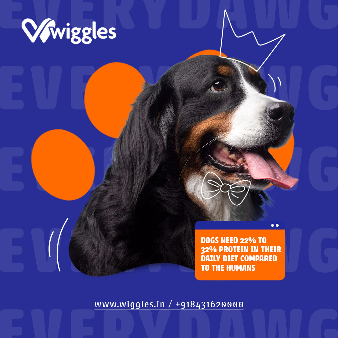 Social media post sample on Behance :: Behance