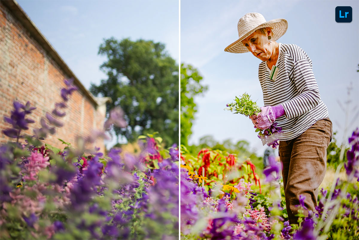 Flower picker | Remix | Photoshop Lightroom