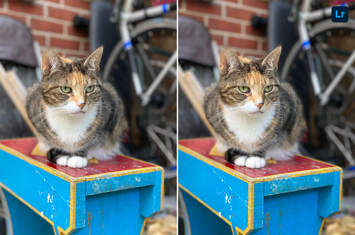 Dobalina | Edit | Photoshop Lightroom