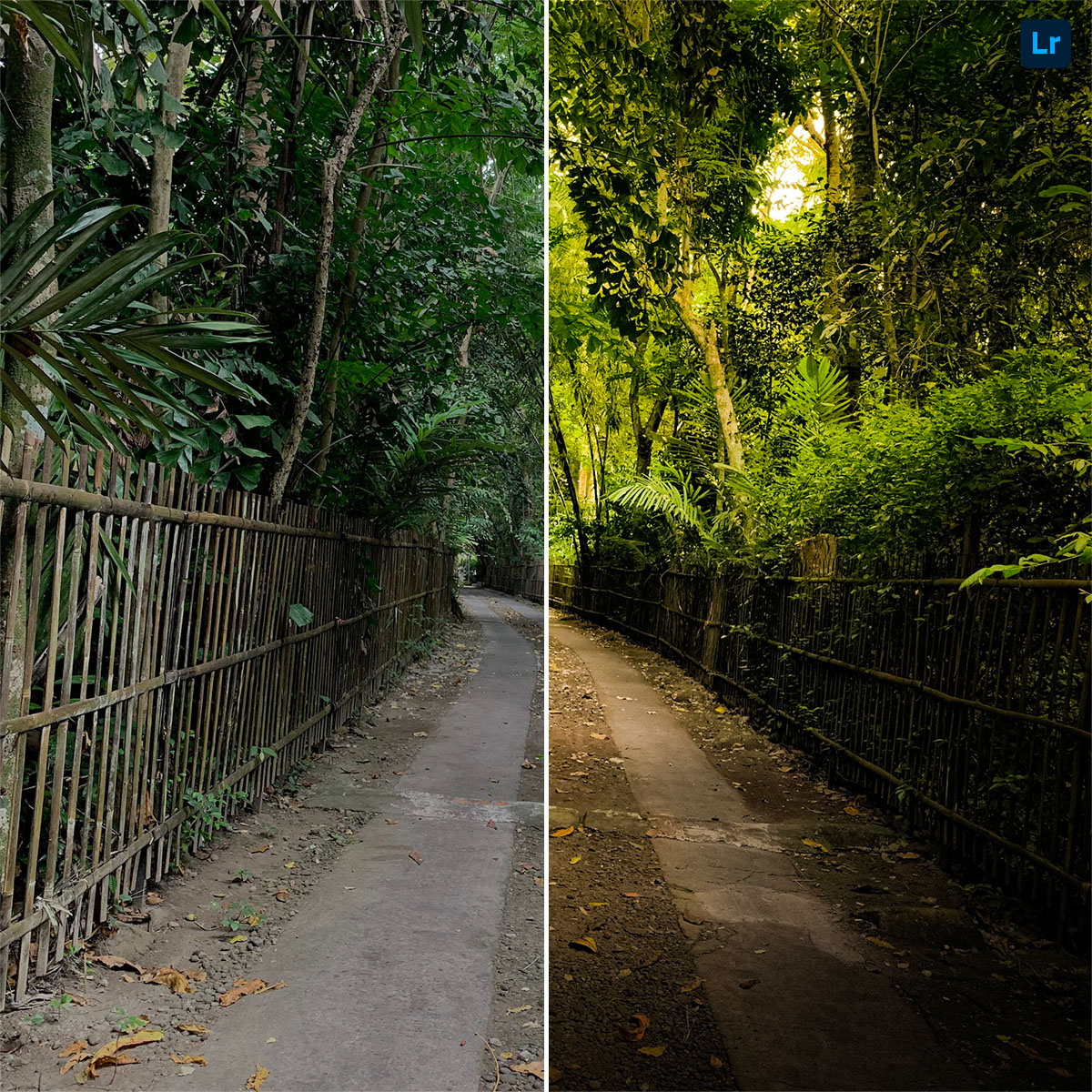 Path to work | Edit | Photoshop Lightroom