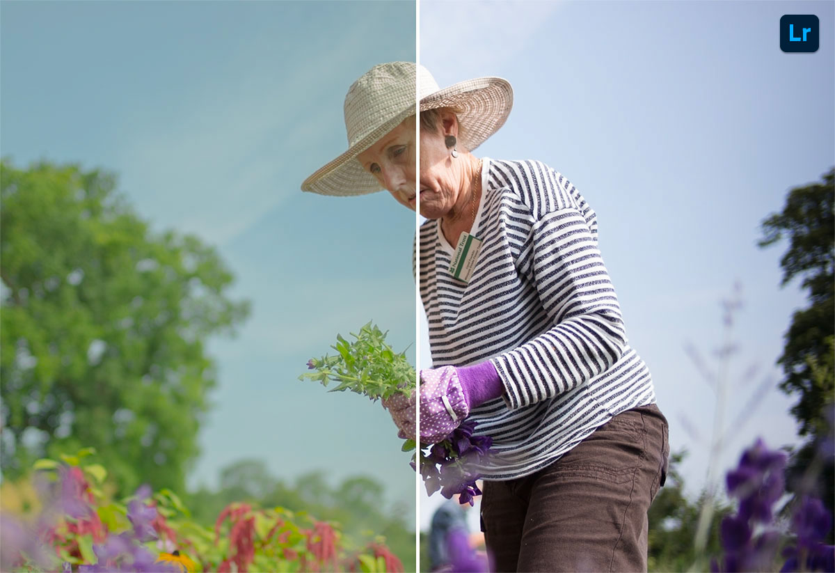 Flower picker | Remix | Photoshop Lightroom