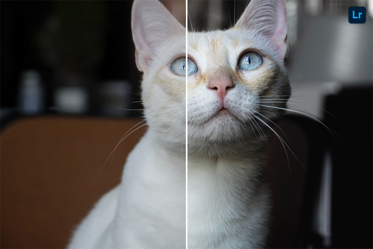 Arya | Edit | Photoshop Lightroom