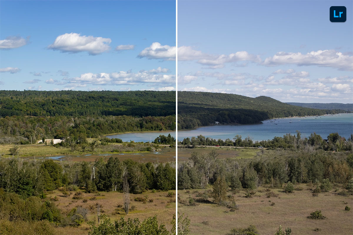 sleeping bear | Edit | Photoshop Lightroom