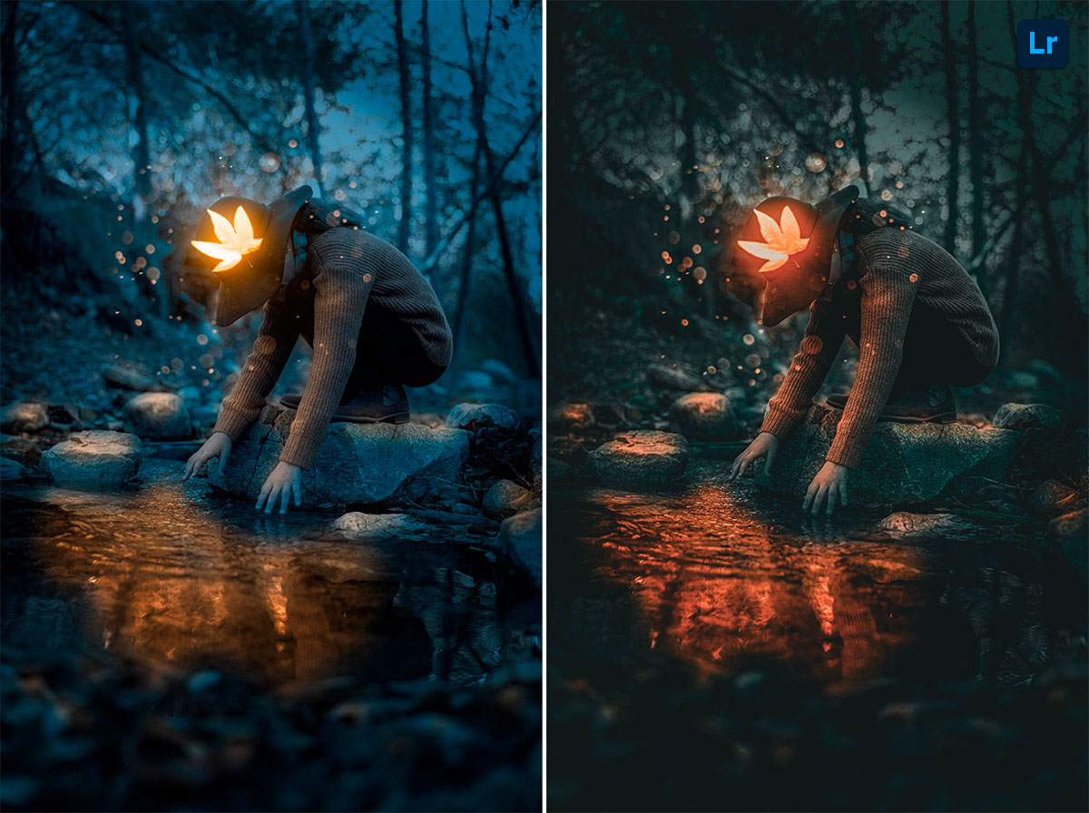 Lightning Bug | Remix | Photoshop Lightroom