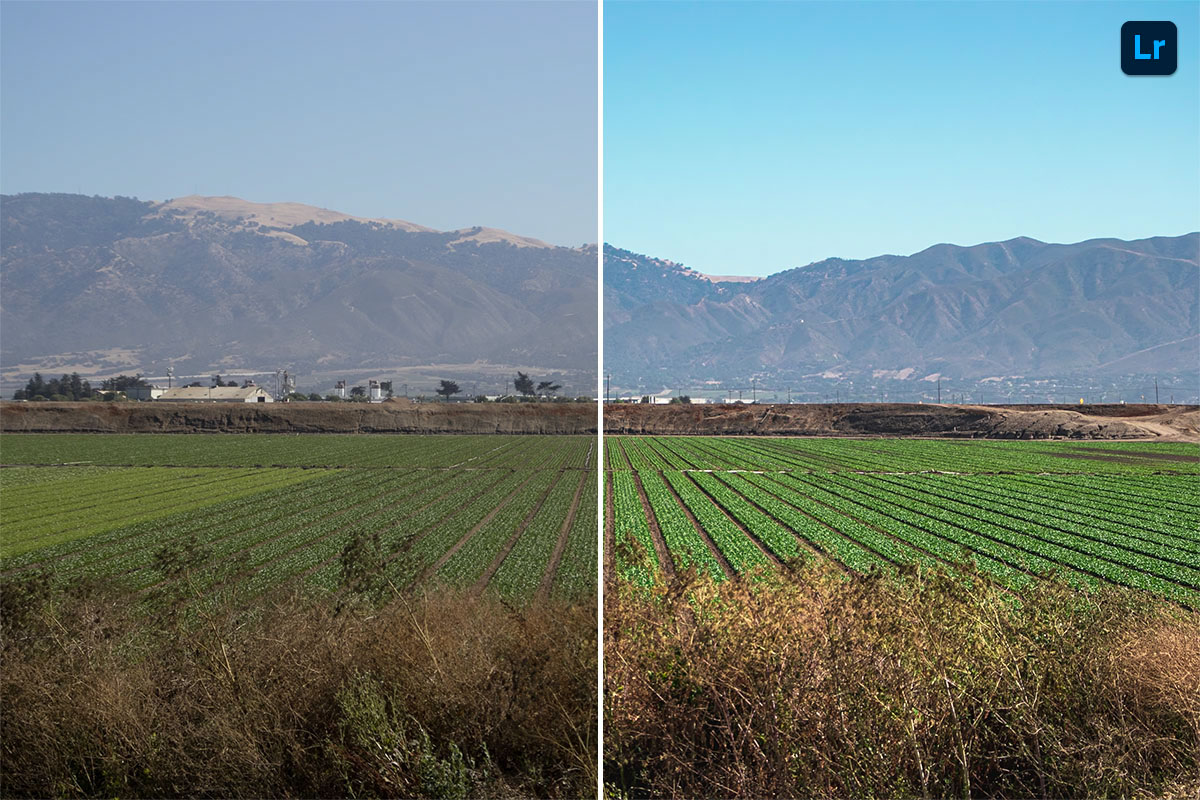 Field Landscape | Edit | Photoshop Lightroom
