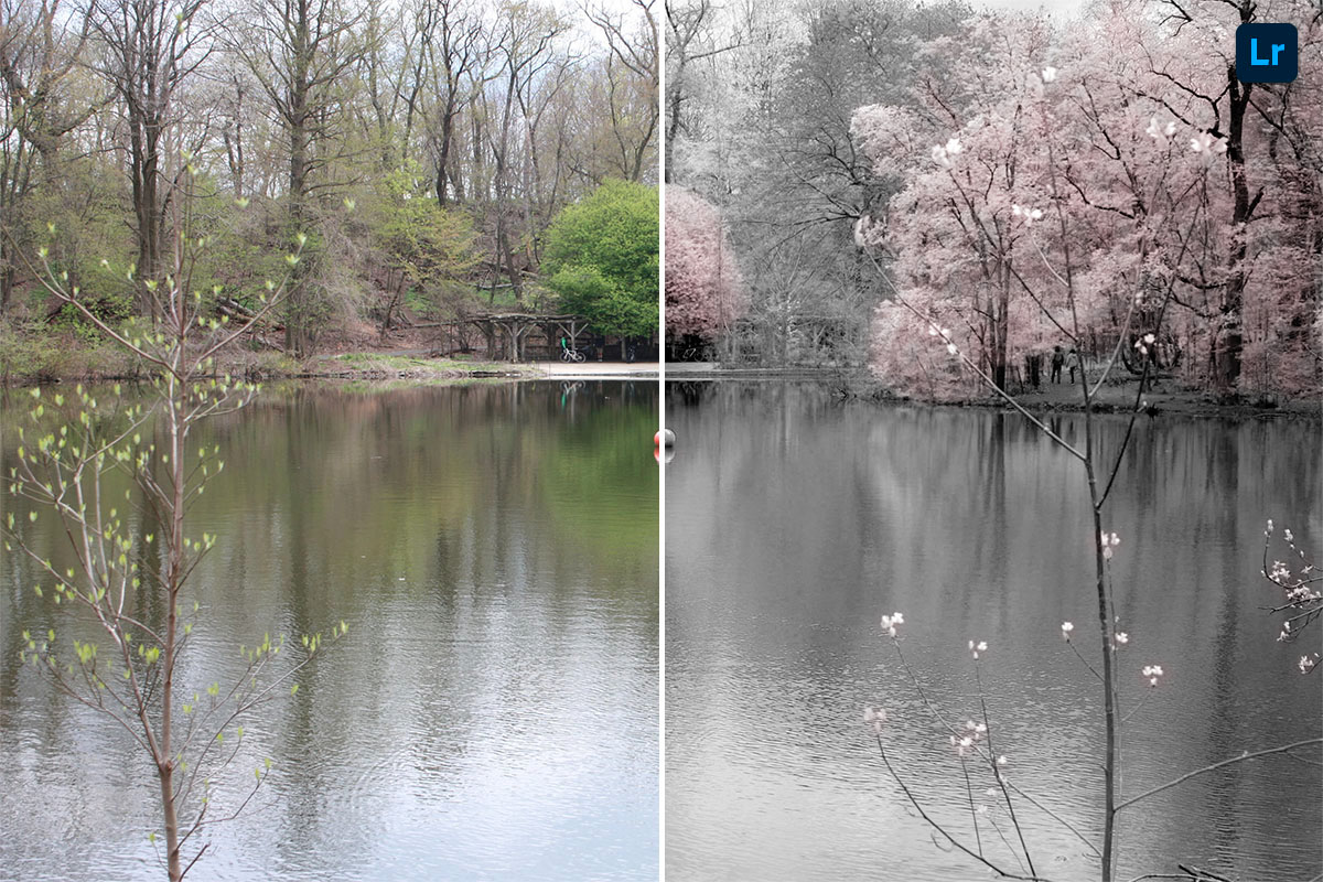 Adding Color to BW | Edit | Photoshop Lightroom