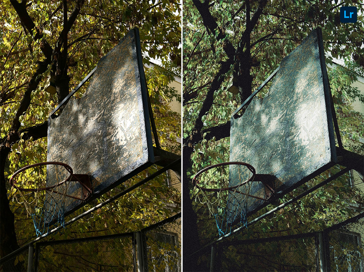 CIRCLE | Edit | Photoshop Lightroom