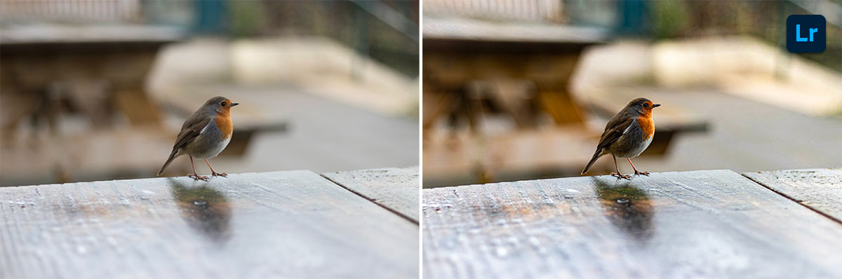 ROB | Remix | Photoshop Lightroom