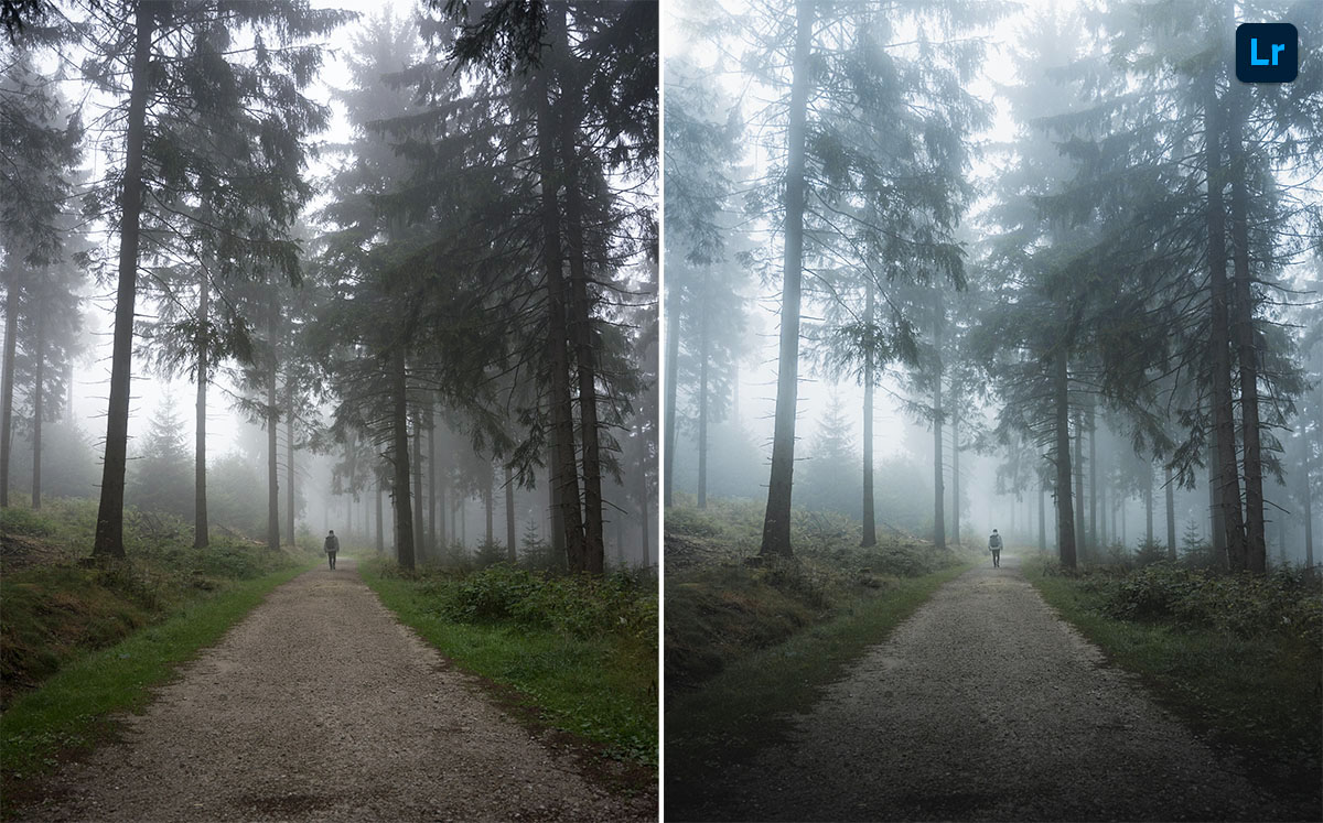 Moody Walk | Edit | Photoshop Lightroom