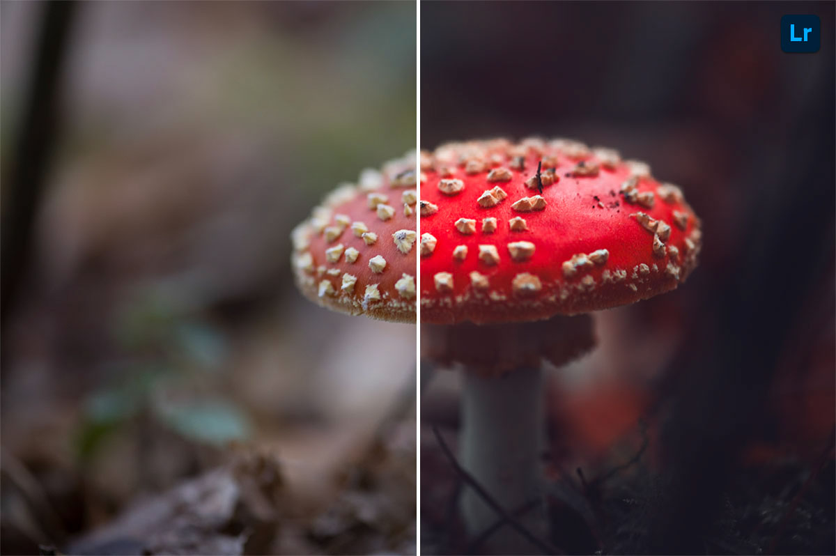 Red | Edit | Photoshop Lightroom