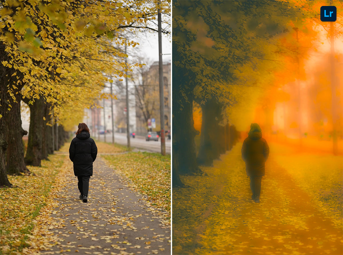 Crazy Autumn | Edit | Photoshop Lightroom