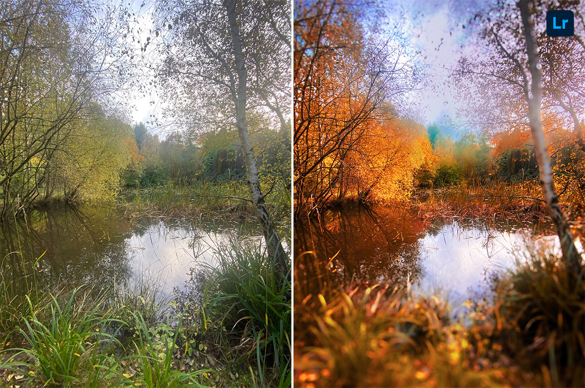Autumn lake | Edit | Photoshop Lightroom