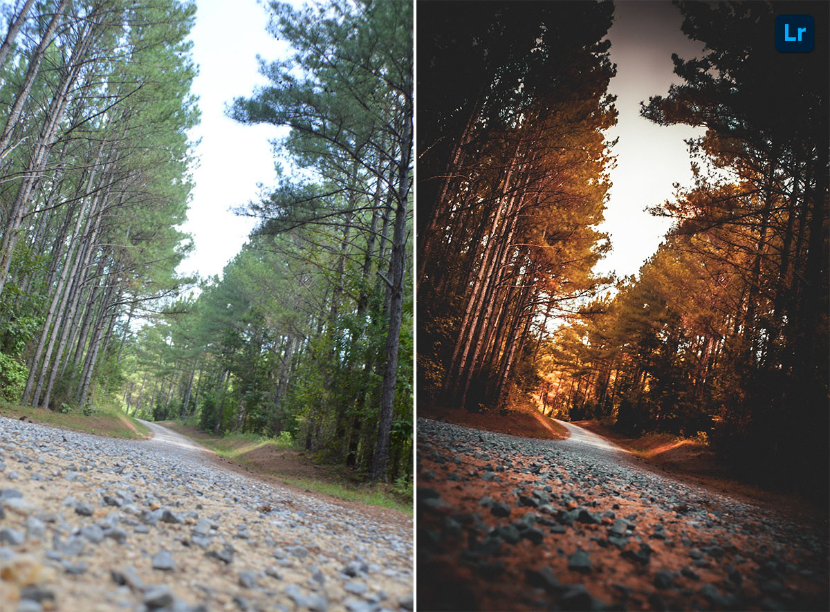 corn | Edit | Photoshop Lightroom