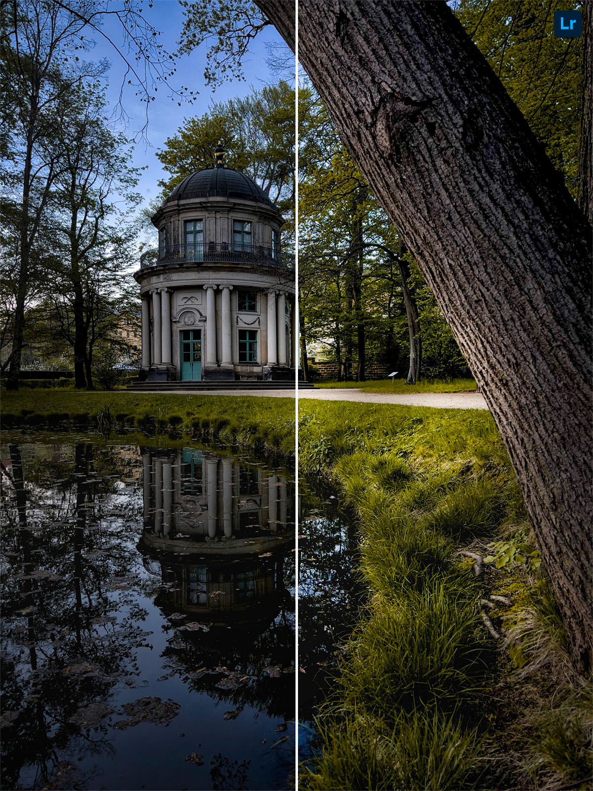 Reflection | Remix | Photoshop Lightroom