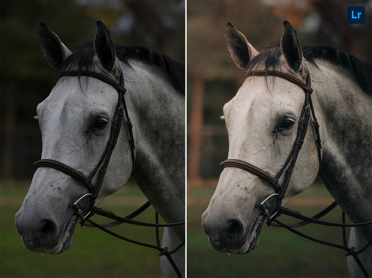 Beautiful Gray | Remix | Photoshop Lightroom