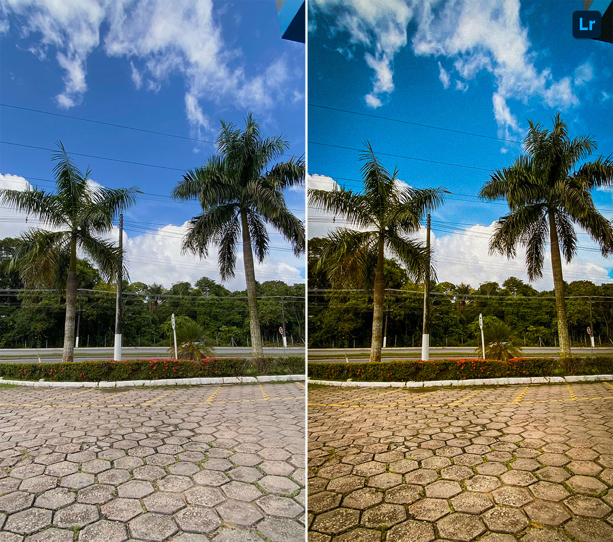 walto | Edit | Photoshop Lightroom