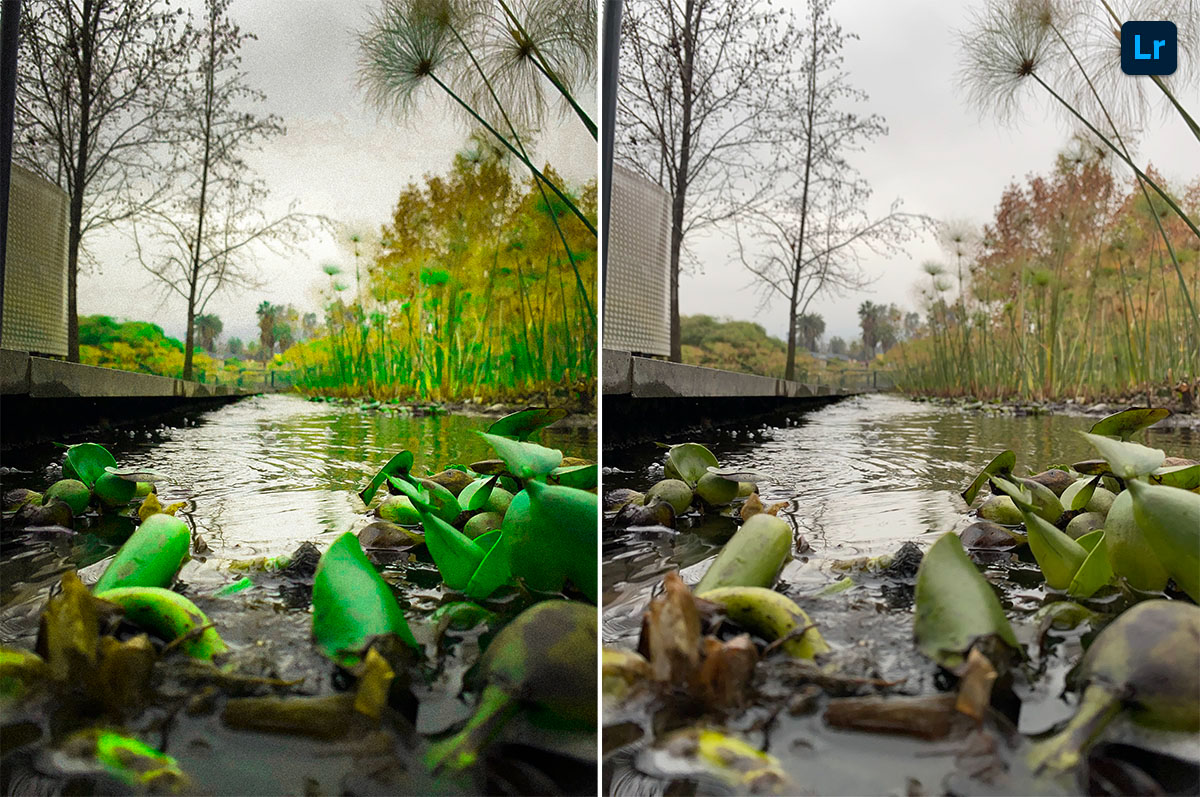 Mini River | Remix | Photoshop Lightroom