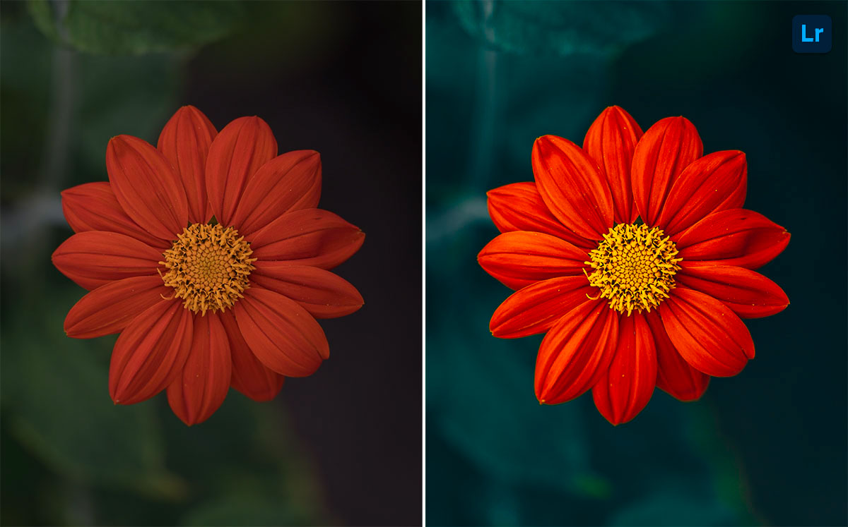 Round & perfect | Edit | Photoshop Lightroom