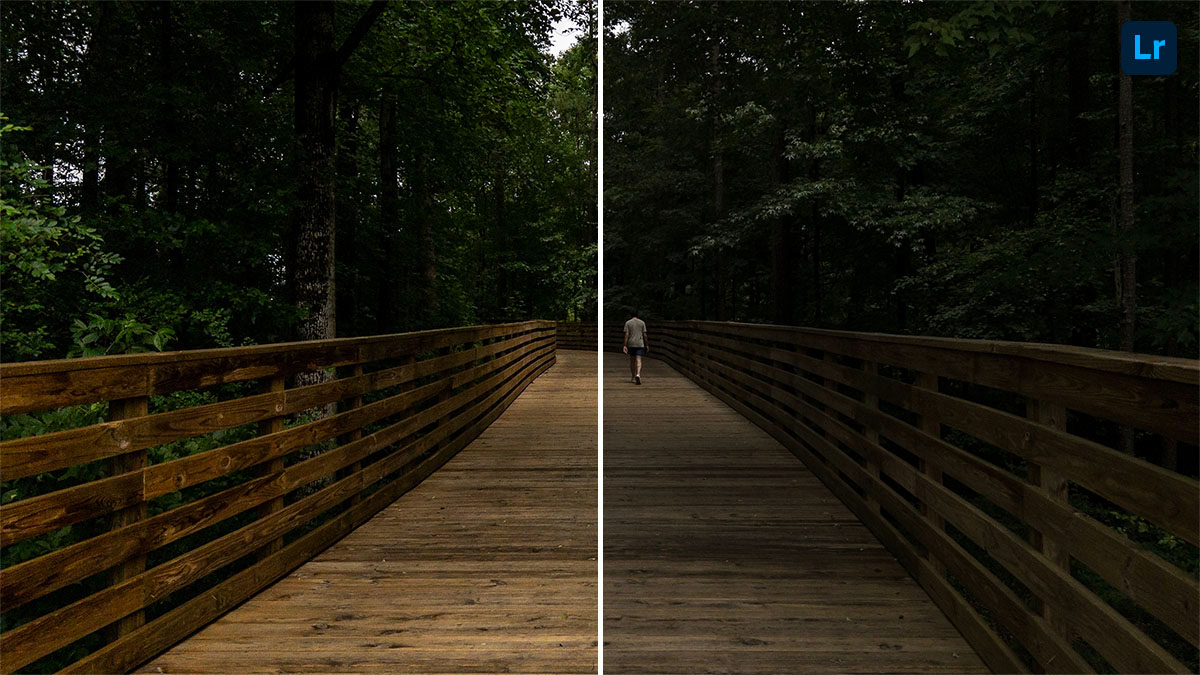 A Walk In Paradise | Edit | Photoshop Lightroom