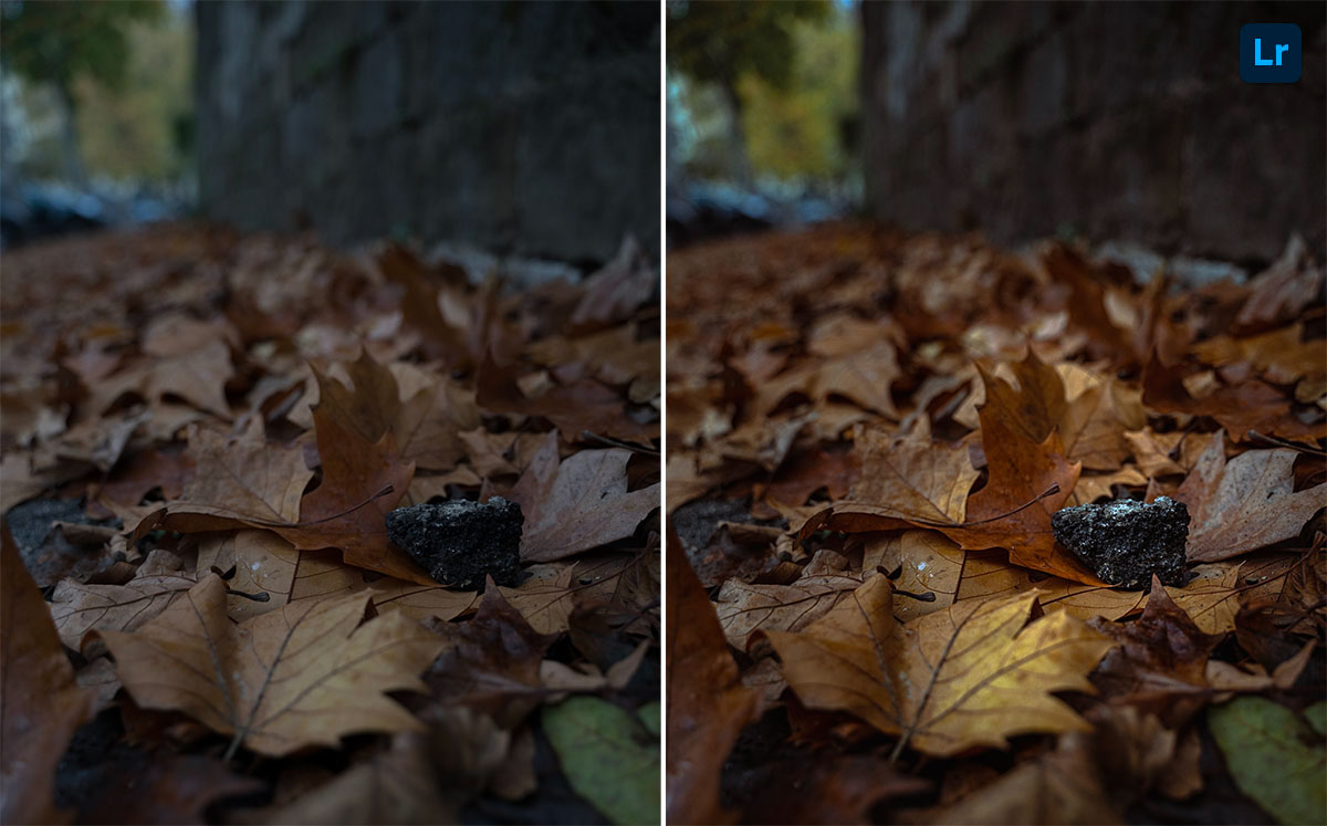 Identity | Edit | Photoshop Lightroom