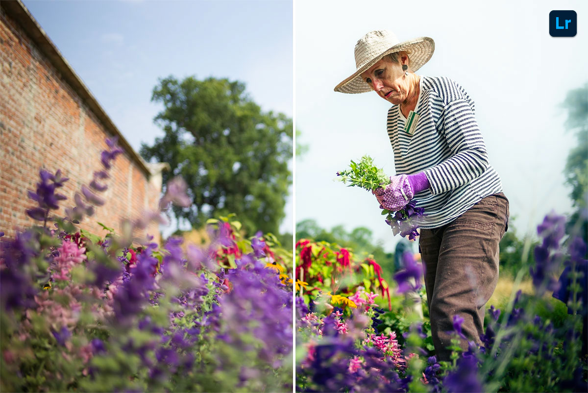 Flower picker | Remix | Photoshop Lightroom