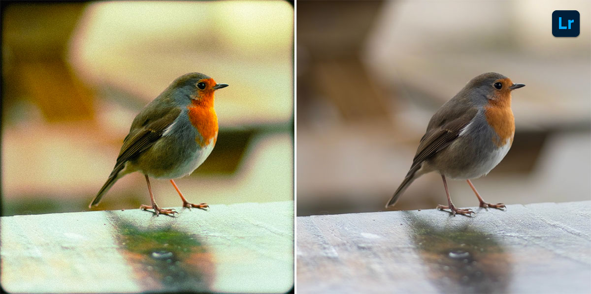 ROB | Remix | Photoshop Lightroom