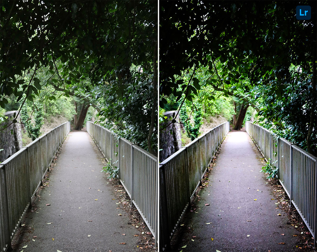 Weary Green Roadside Path | Edit | Photoshop Lightroom