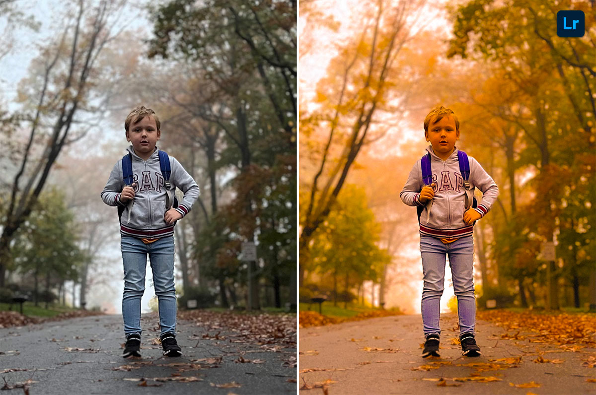 Bro | Remix | Photoshop Lightroom