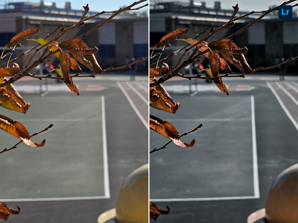 Fall leaf | Edit | Photoshop Lightroom