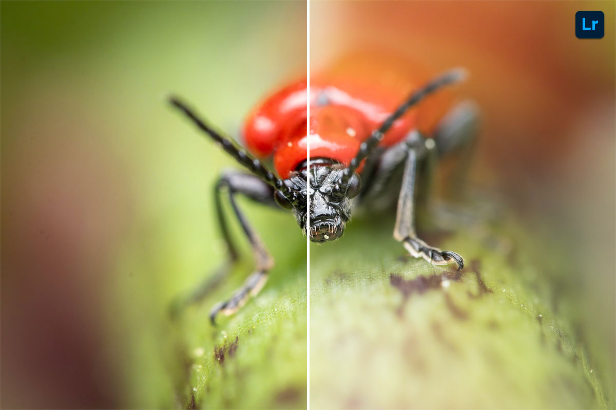 red beatle 2 | Edit | Photoshop Lightroom