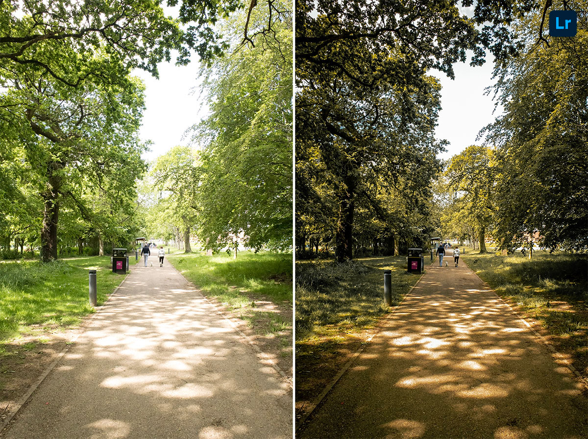 Pollok Park Pathway | Edit | Photoshop Lightroom