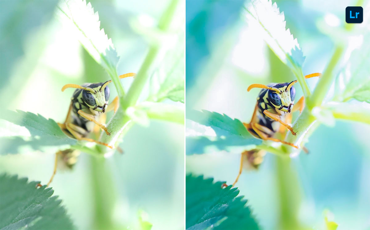 Test | Edit | Photoshop Lightroom