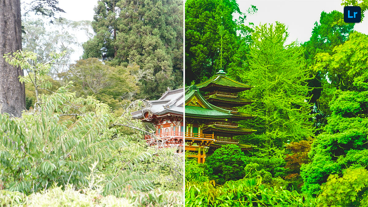 Dojo | Edit | Photoshop Lightroom