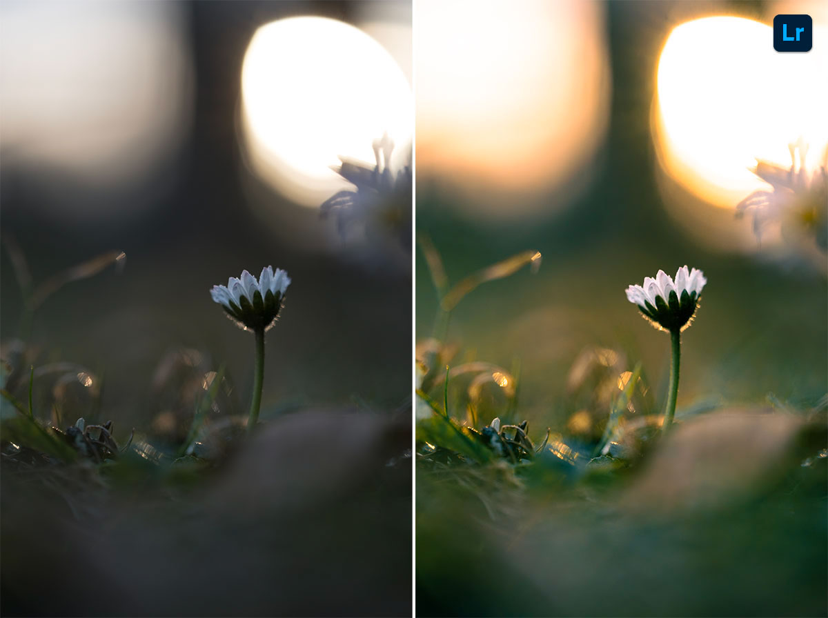 First breath of Spring | Remix | Photoshop Lightroom