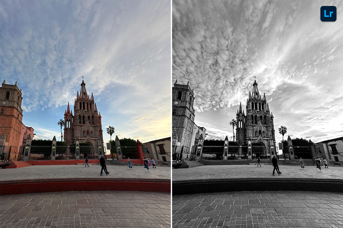 Staples of Hounds | Edit | Photoshop Lightroom