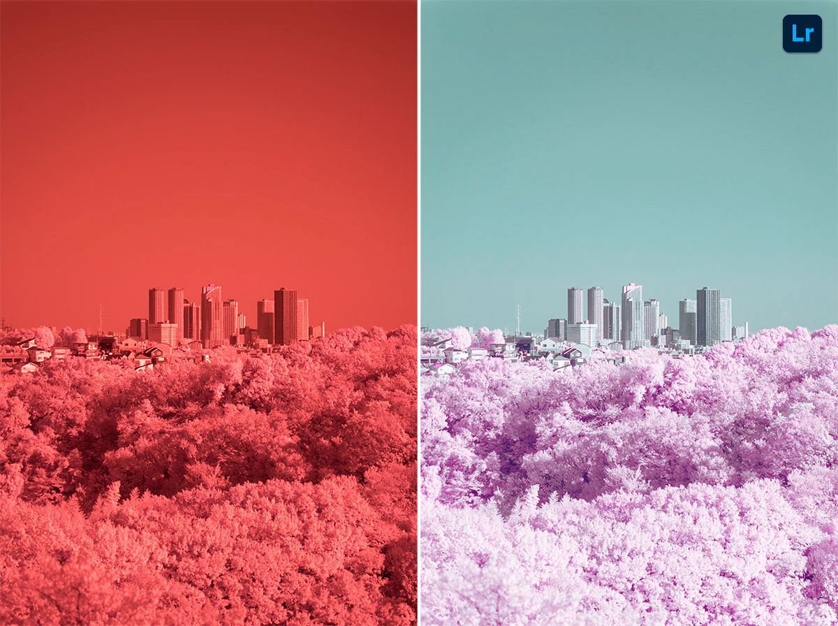 infrared photography | Edit | Photoshop Lightroom