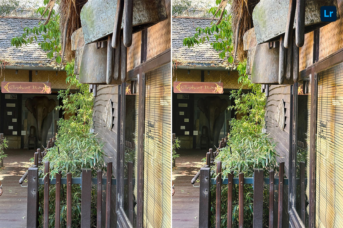 Taronga zoo | Remix | Photoshop Lightroom