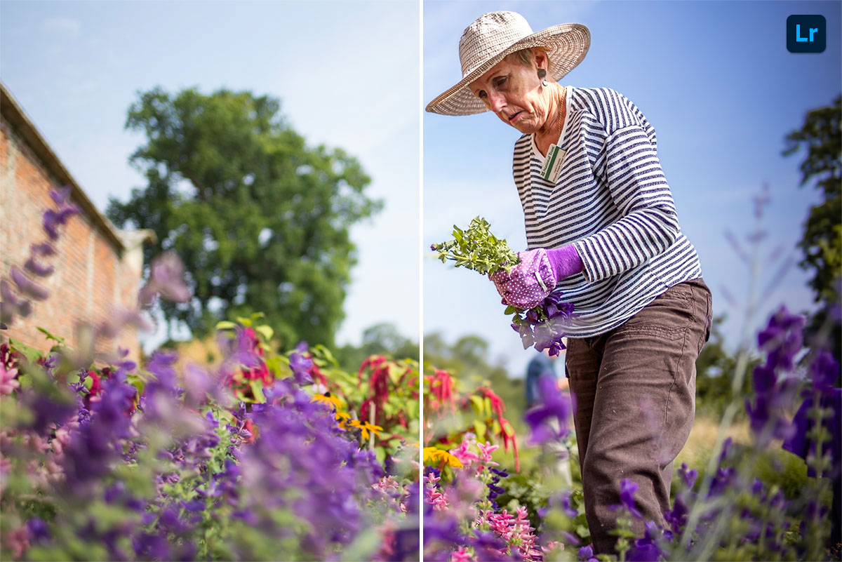 Flower picker | Remix | Photoshop Lightroom