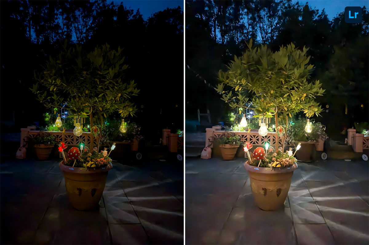 Night Garden | Edit | Photoshop Lightroom