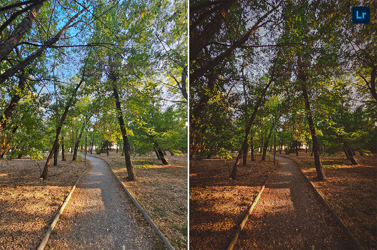 Nature | Edit | Photoshop Lightroom