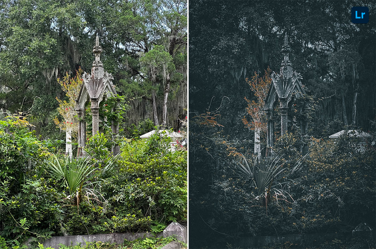 Bonaventure Cemetery | Edit | Photoshop Lightroom