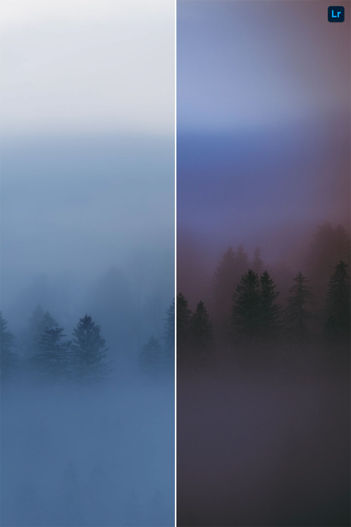 Winter fog | Remix | Photoshop Lightroom