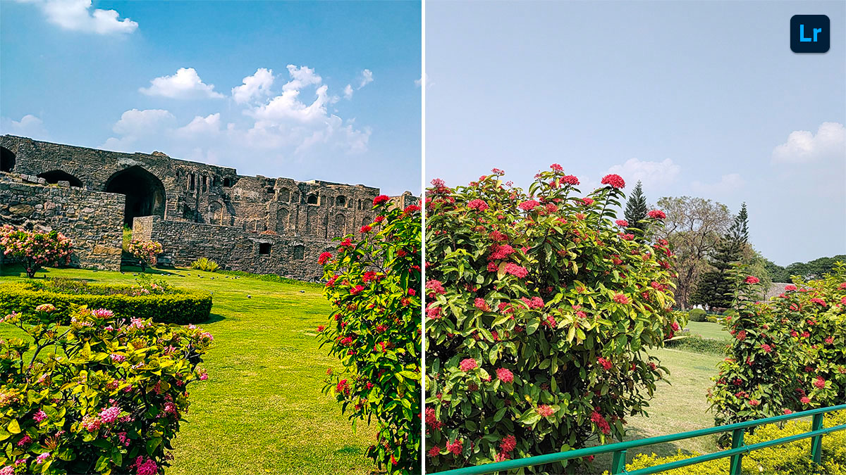 Natural garden | Edit | Photoshop Lightroom