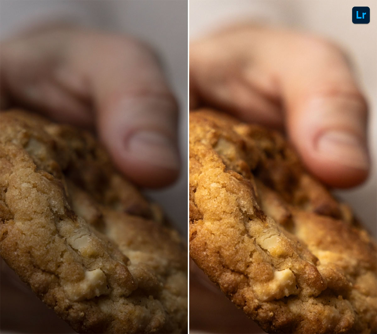 A single cookie | Remix | Photoshop Lightroom