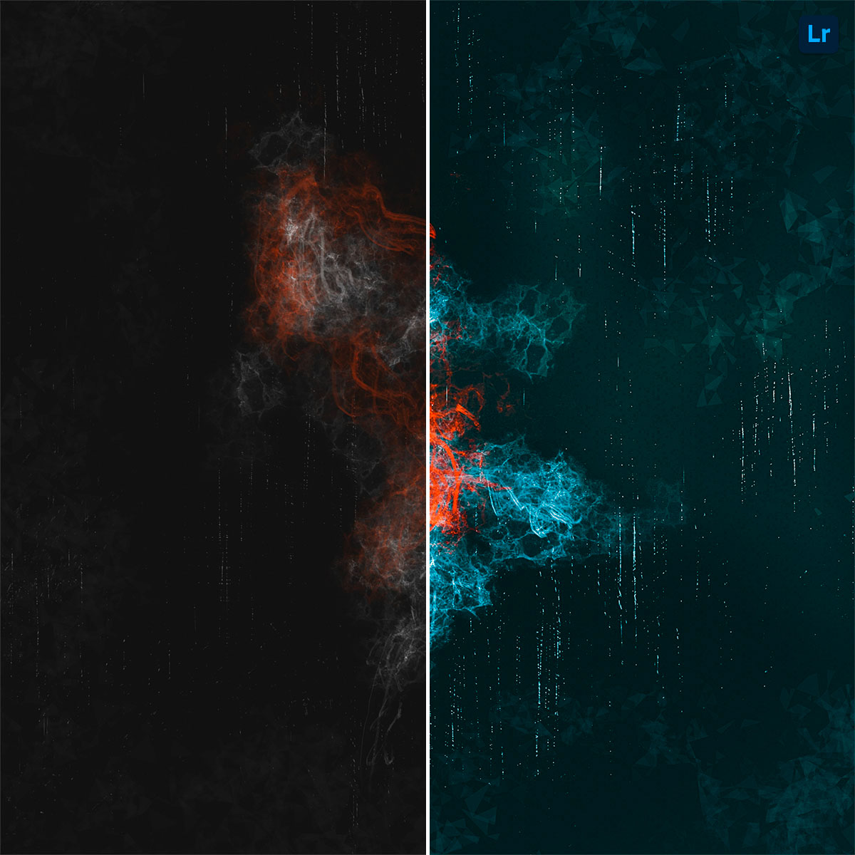 Sky View of a Koi Fish Art Work | Edit | Photoshop Lightroom