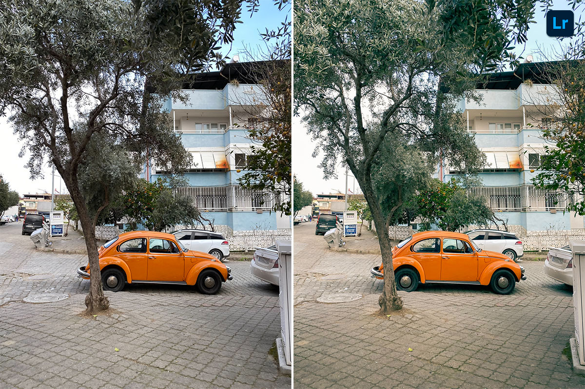 🐢 | Remix | Photoshop Lightroom