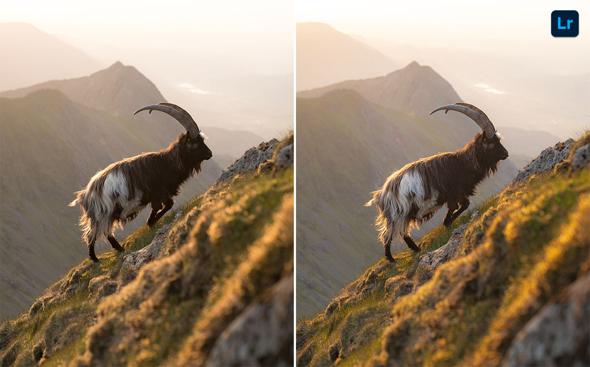 Snowdon GOAT | Edit | Photoshop Lightroom