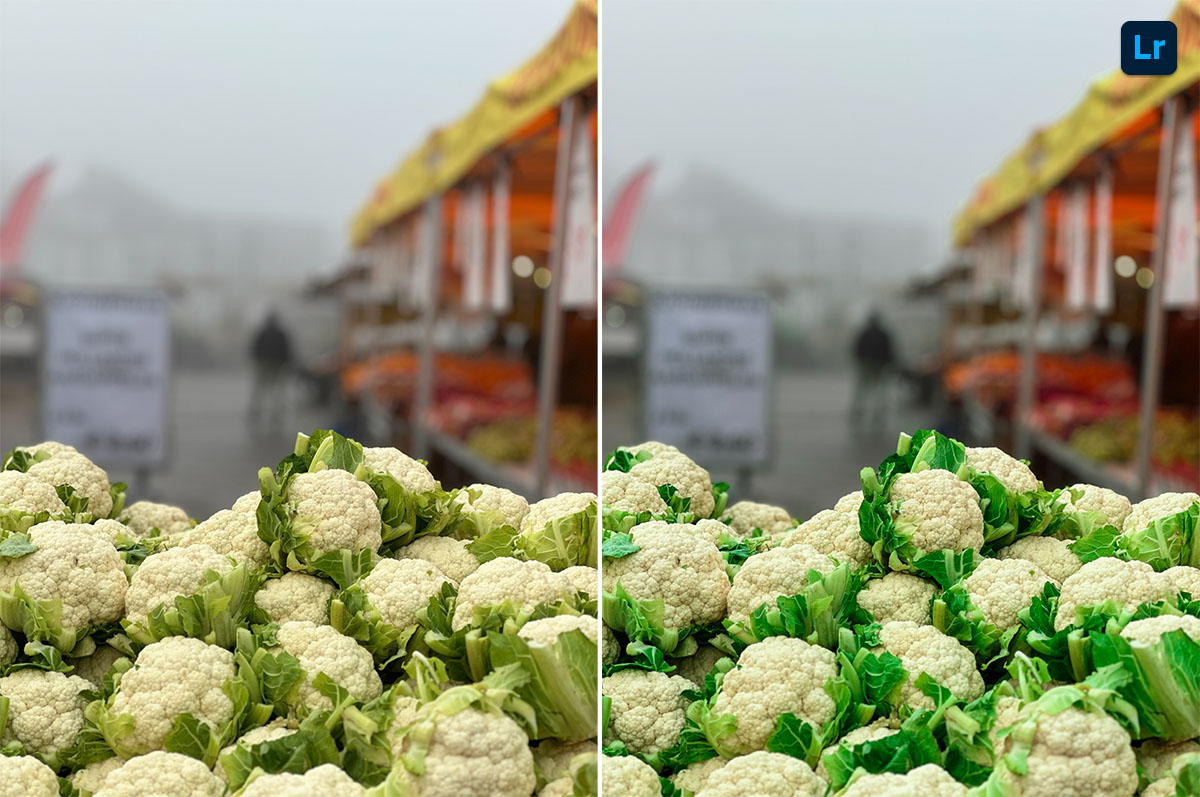 Cabbage | Edit | Photoshop Lightroom