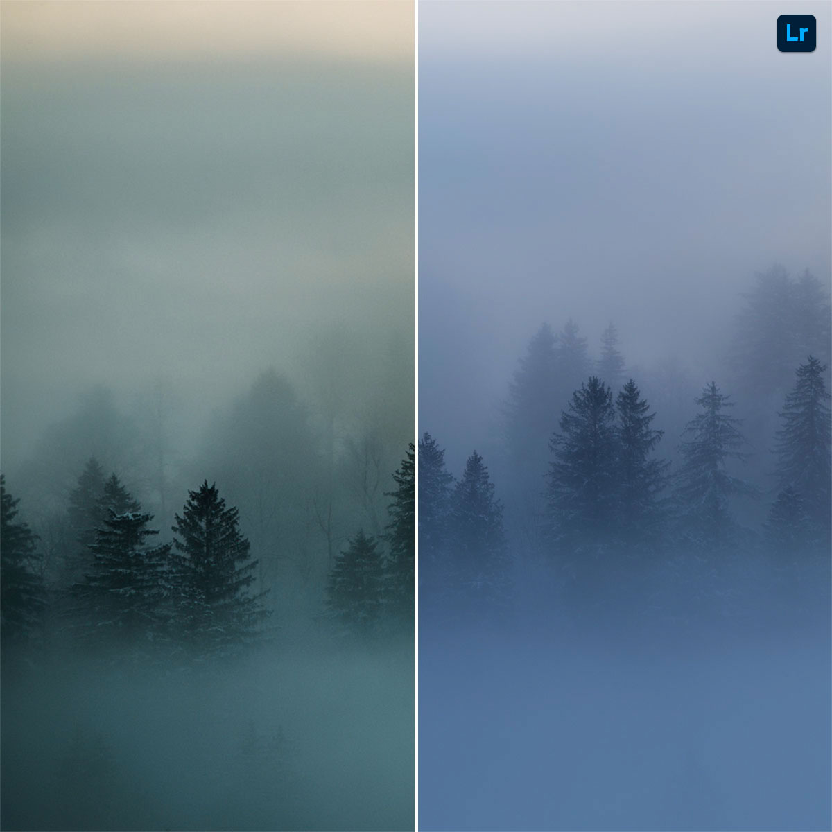 Winter fog | Remix | Photoshop Lightroom