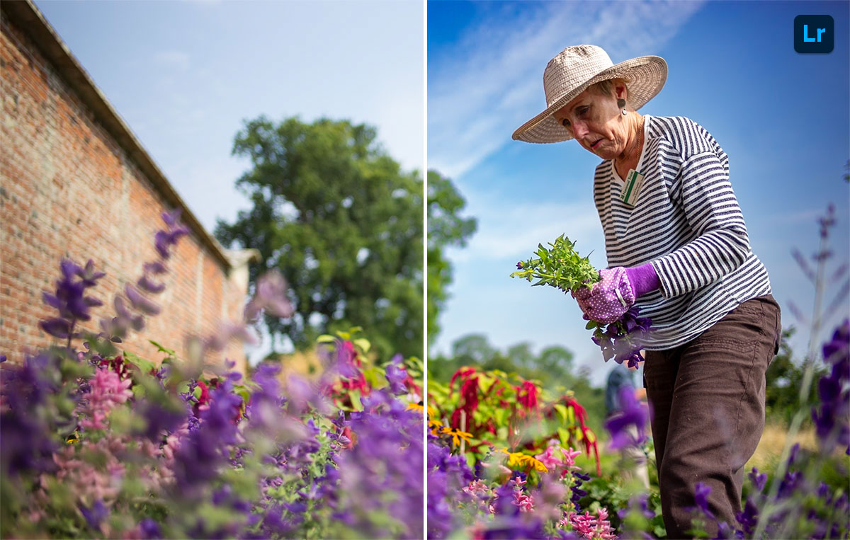 Flower picker | Remix | Photoshop Lightroom